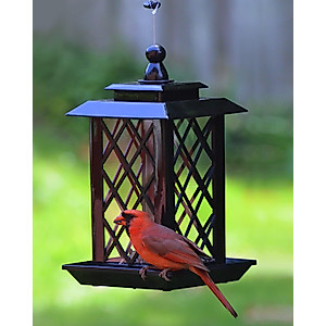 Vivace Large Bird Feeders for Outdoors Hanging Bird Feeder, 3.2lb Capacity Seed Feeder Lantern Wild Bird Feeders for Outside Hanging, Black