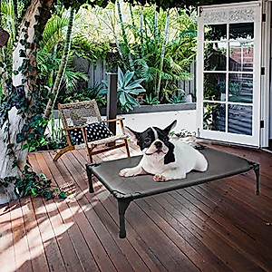 NBVAIGJ Elevated Dog Bed for Medium - Portable Raised Dog Bed Outdoor & Indoor 32x25x8in for Camping or Beach Washable Dog Bed,Durable Chew Proof Dog Hammock Bed with Breathable Mesh,Black