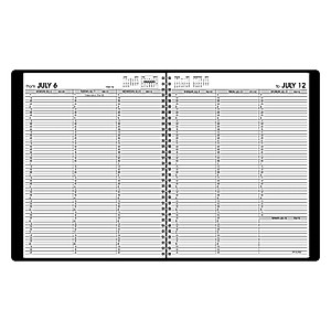 AT-A-GLANCE Weekly Planner/Appointment Book, Academic Year, 14 Months, July 2015–August 2016, 8.25 x 10.88 Inch Page Size (70-957-05)