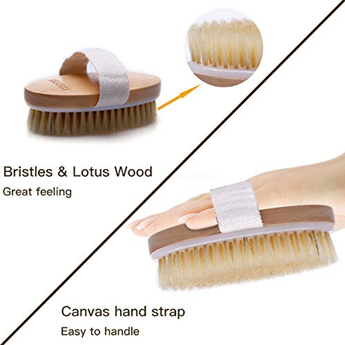 Ithyes Dry Brushing Body Brush Exfoliating Brush Natural Bristle Bath Brush for Remove Dead Skin Toxins Cellulite,Treatment,Improves Lymphatic Functions,Exfoliates,Stimulates Blood Circulation