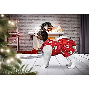 Dog Christmas Dress Dog Christmas Costumes Girl Snowman Stretchy Dog Dress Funny Dog Costumes Puppy Clothes with Bowtie Dog Outfit for Small Dogs Cats Puppy(S)