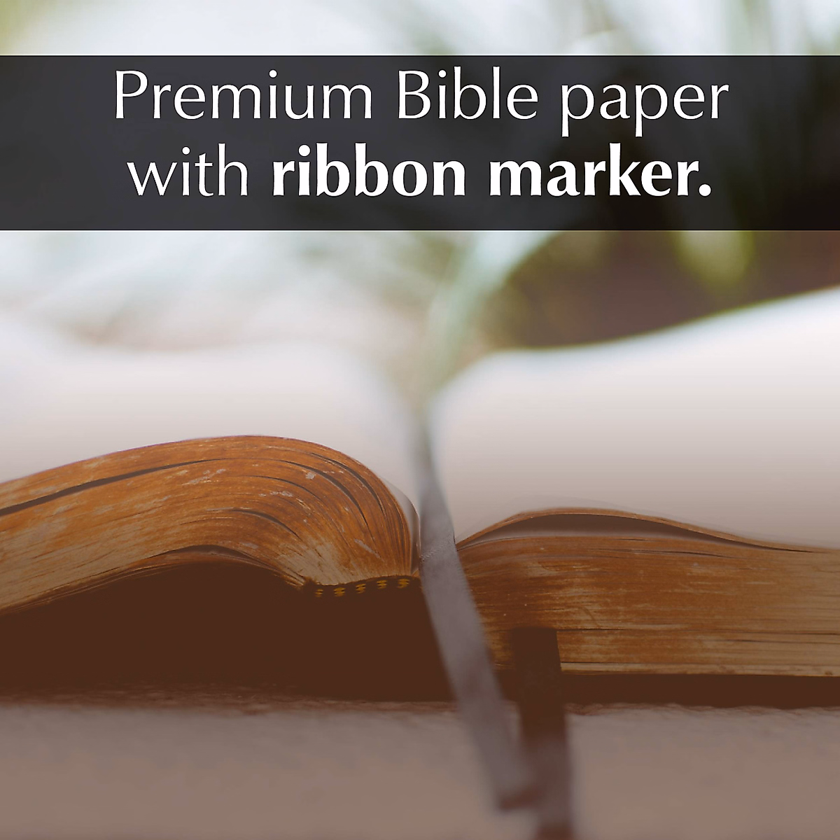 The Passion Translation New Testament, Violet, Large Print (Faux Leather) – In-Depth Bible with Psalms, Proverbs, and Song of Songs, Makes a Great Gift for Confirmation, Holidays, and More