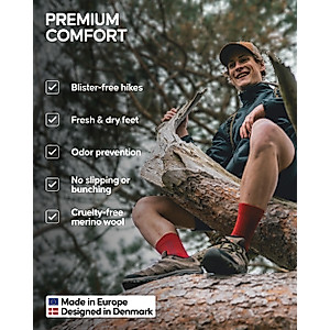 DANISH ENURANCE Premium Outdoor Hiking Socks, Merino Wool, Men & Women, 2 Pack, Light Grey, Large