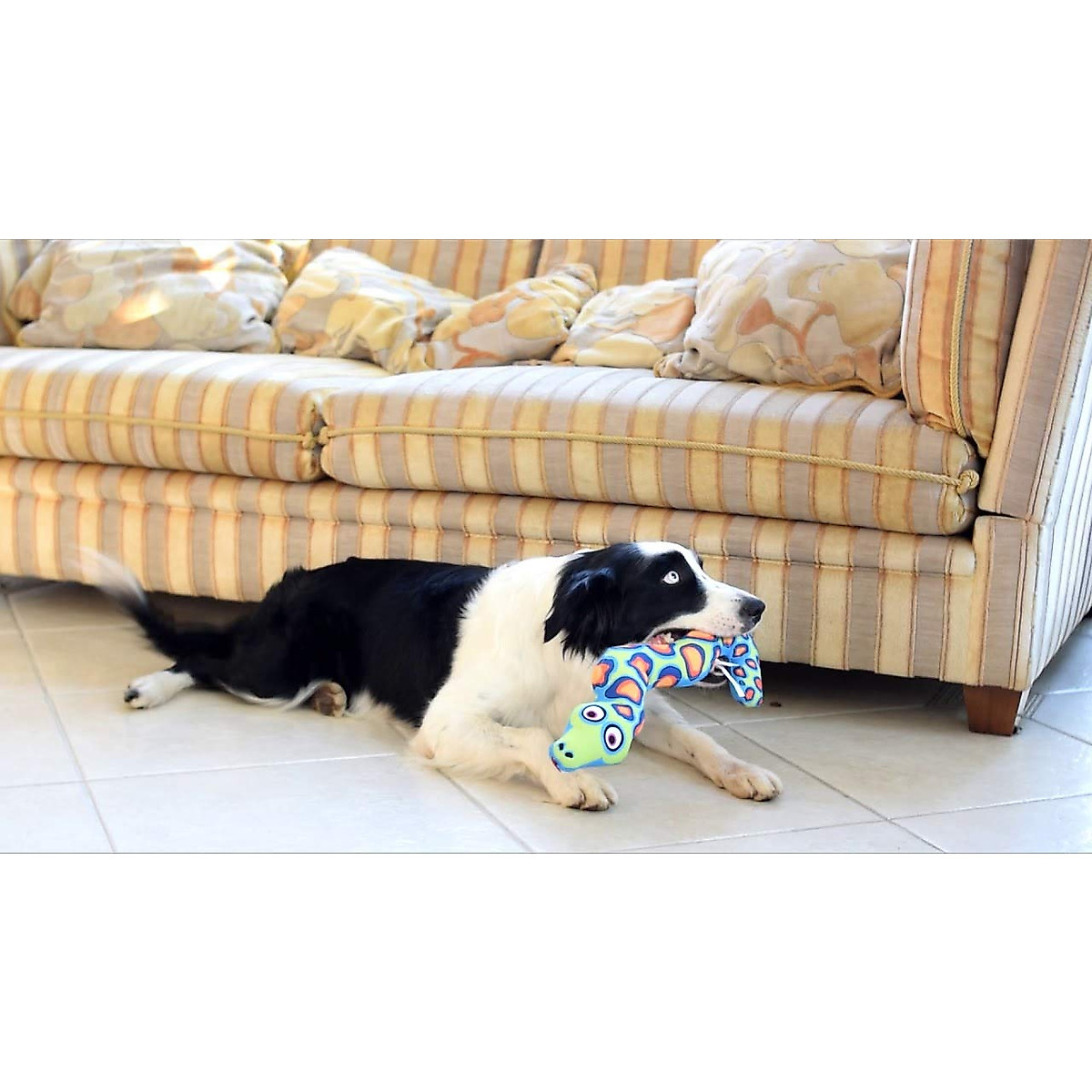 Petmate Fat Cat Incredible Strapping Yankers Dog Toy, Snake (Colors May Vary)