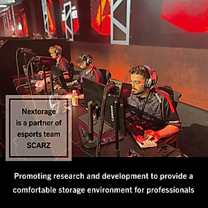 Nextorage Japan 1TB NVMe PCIe Gen.4 M.2 Internal SSD (Read Speed up to 7300MB/s Write Speed up to 6000 MB/s)