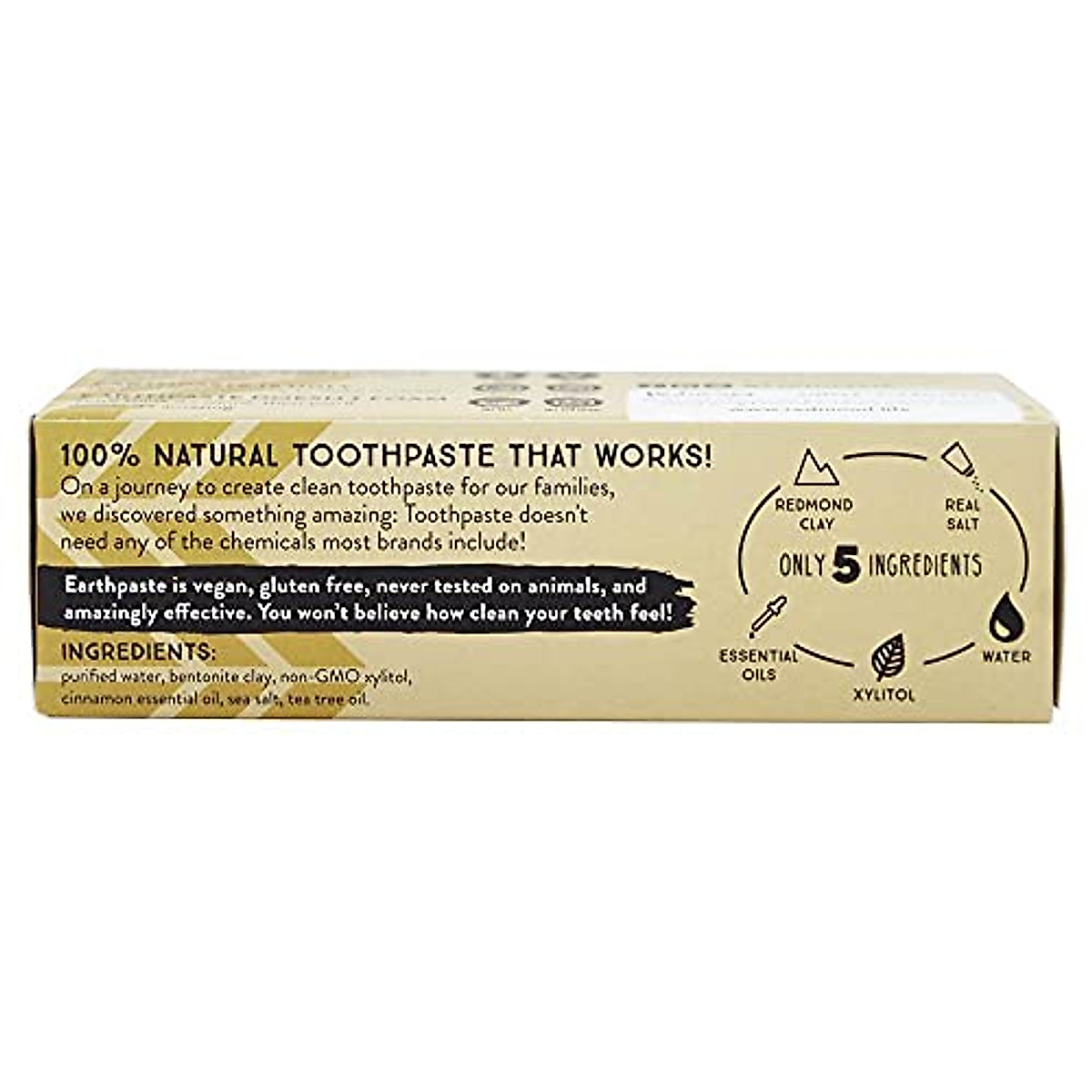 REDMOND - Earthpaste - Natural Non-Flouride Toothpaste, Cinnamon, 4 Ounce Tube (Pack of 1)