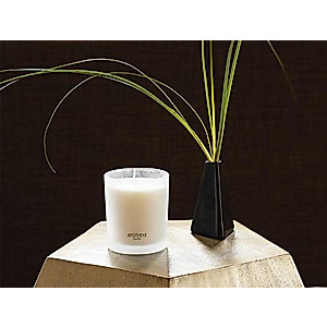 Apotheke Signature Amber Woods Candle, 1 EA
