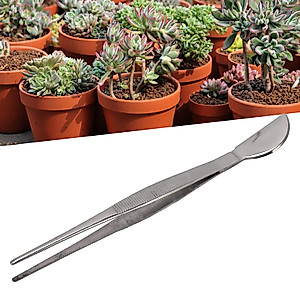 Biitfuu Bonsai Tweezers Stainless Steel Moon Spatula Head Stainless Steel Bonsai Tweezers for Curved Style (Straight)