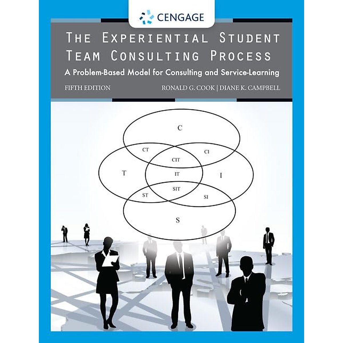 The Experiential Student Team Consulting Process: A Problem-Based Model for Consulting and Service-Learning