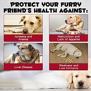 Liquid Iron Supplements for Dogs,LiquiI Iron with Vitamin C and B12,Supports Anemia, Low Enery Levels and Lethargy,Promotes Blood Health, Helps with Formation of Red Blood Cell