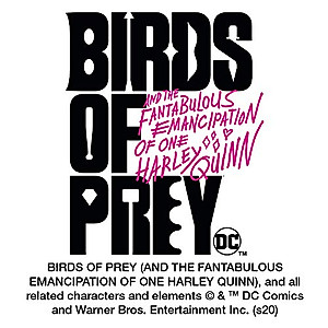 Birds of Prey Harley Quinn On Target Stainless Steel Tumbler 20 oz Coffee Travel Mug/Cup, Vacuum Insulated & Double Wall with Leakproof Sliding Lid | Great for Hot Drinks and Cold Beverages