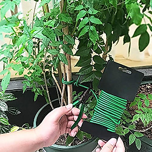 Shintop Reusable 5mm Garden Plant Twist Tie, 2PCS Heavy Duty Soft Wire Tie for Tomato Plants, Climbing Roses and Vines Organizing (Green, 32.8 Feet)