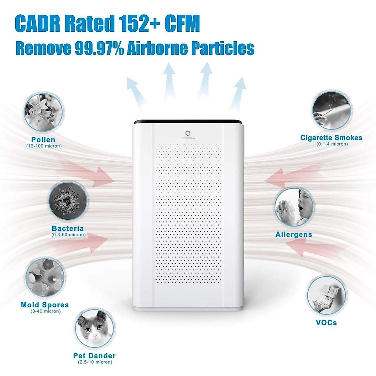 Airthereal Bundle | APH260 Air Purifier and 2-pack Medical Grade H13 True HEPA Spare Replacement Filters, Pure Morning