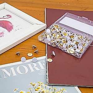 200PCS Decorative Thumb Tacks, SAILAVY Steel Round Head Push Pins for Home, School, Office, Map, Photo Wall, Cork Board Bulletin Board (White)