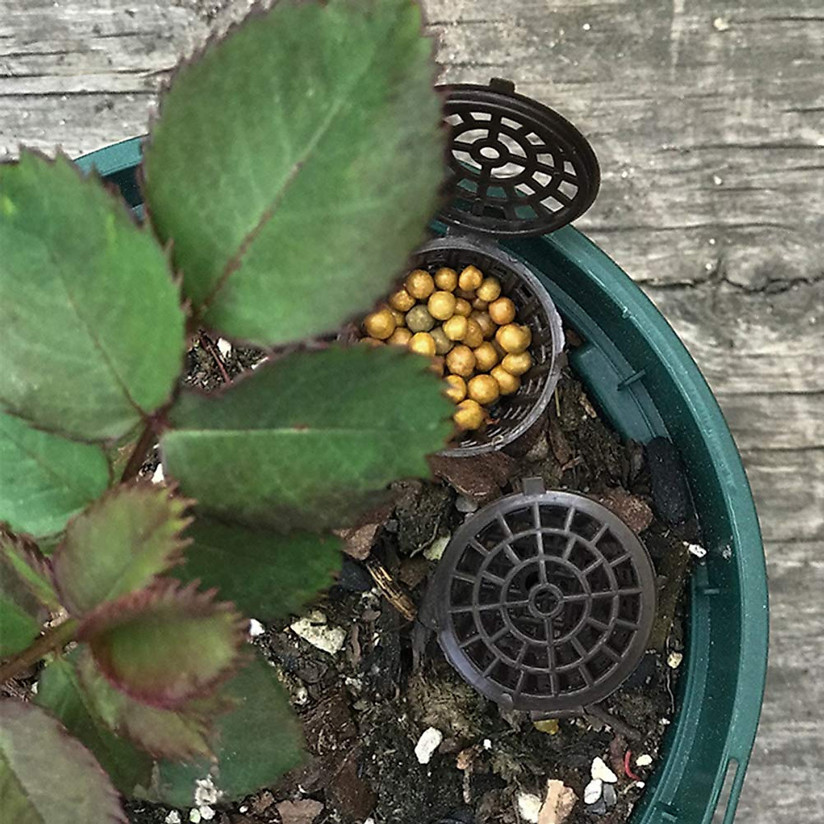 40 Pcs Fertilizer Bonsai Fertilizer Cakes Mesh Baskets Garden Nursery Cutting Rooting Baskets Bonsai Fertilizer Box Fertilization Control Container