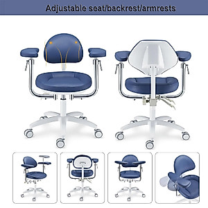 Dental Chair Dentist Stools Dental Assistant Chair with Back Support Rotatable Armrest Microfiber Leather Mobile Chair Doctor's Stool Height Adjustment,B3