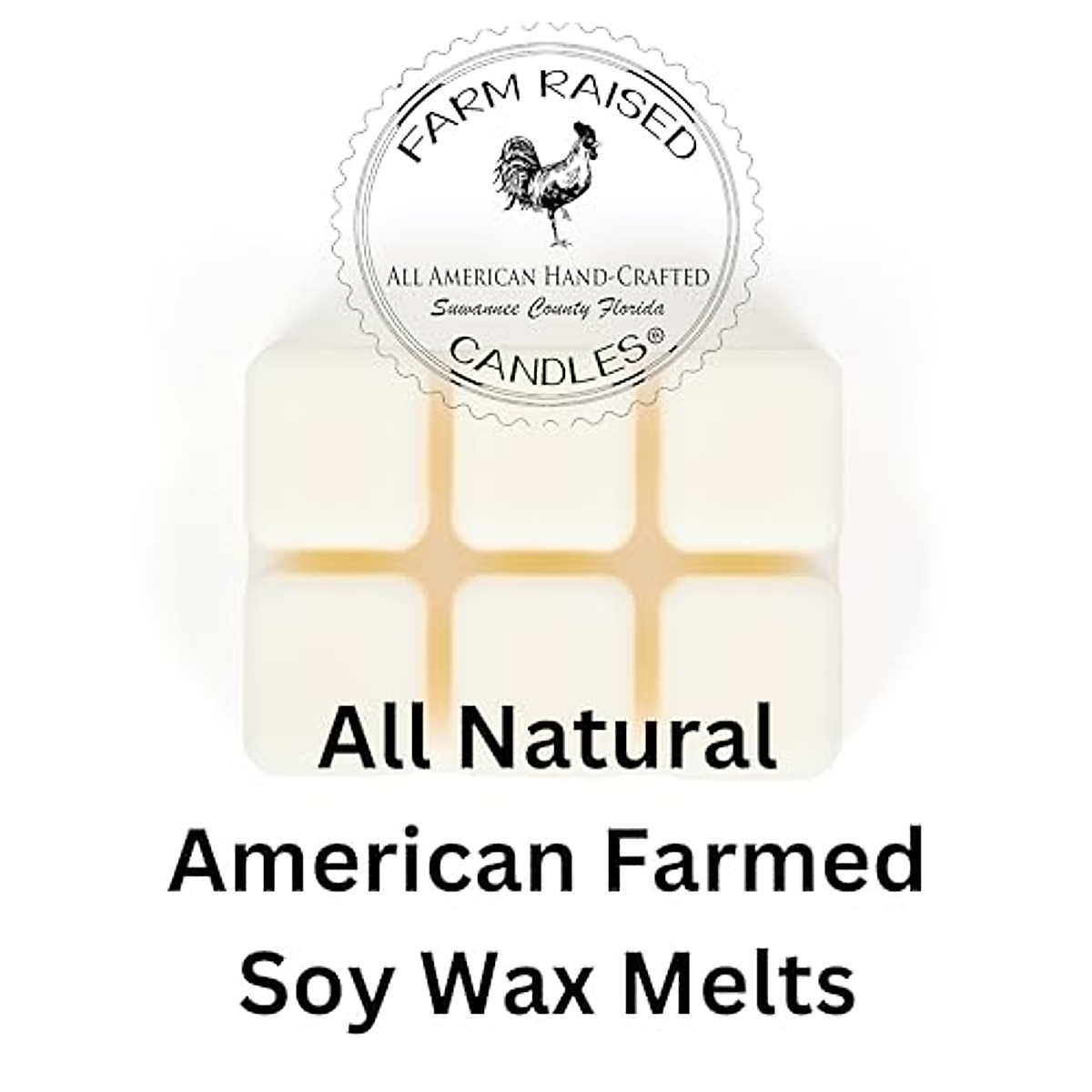 Wax Melts, 16 Oz - with 5 Scented Options Including Fall Spice, Vanilla, Cinnamon Caramel, Pecan Waffles and Apple - Soy Candle Melting Warmer Cubes with Natural Scent and Non Toxic Ingredients