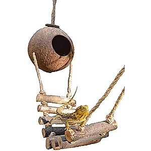 XXYWJF Gecko Coco Den with Ladder，Cave Habitat with Hanging Loop，Mini Condo for Lizards， Raw Coconut Husk Hide with Ladder，Gecko Coco den,5.1 Inches with 2.3Inches Opening Diameter