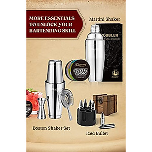 KITESSENSU Cobbler Cocktail Shaker - 24oz Martini Shaker with Strainer - Premium 18/8 Stainless Steel Drink Mixing Shaker with Recipes Booklet - Silver
