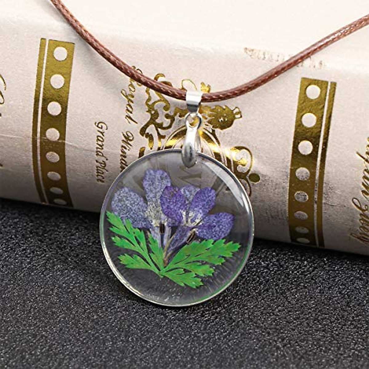 Holibanna 1pc Women Flower Necklace Specimens Pendant Necklace Sweater Chain Dried Daisy Necklace Daisy Jewelry for Women Flower Nacklace Pressed Flower Jewelry A Necklace Miss Dried Flowers
