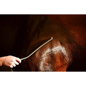 WAHL Professional Animal Equine Grooming Sweat Scraper Horse Tool, Black (858713)