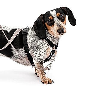 PetSafe Sure-Fit Dog Harness - Training & Behavior Aid - Tactical Design Prevents Pressure on Throat - 2 Quick-Snap Buckles Simplify Slipping On & Off - 5 Adjustment Points - Small, Black