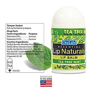 Lip Naturals® | 12-Count Assorted Mini Lip Balm with Sunscreen (SPF-15) & 1 Lip Balm Keychain | Made in USA | Lip Balm Pack with 3 Flavors: Tea Tree Mint, Vanilla Bean, & Bing Cherry (0.10oz/3g Each)