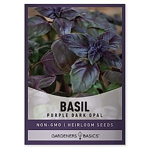 Basil Seeds for Planting Herbs Purple - (Purple Dark Opal) Heirloom Non-GMO Herb Plant Seeds for Home Herb Garden Indoors, Outdoors, and Hydroponics by Gardeners Basics