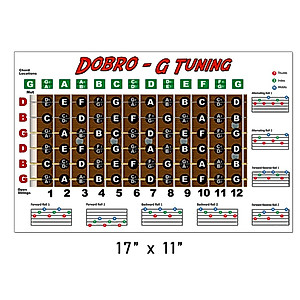 Dobro G Tuning Resonator Guitar Fretboard Note & Rolls Chart - Beginners & Intermediate Instructional Easy Poster Chords 11x17 | A New Song Music