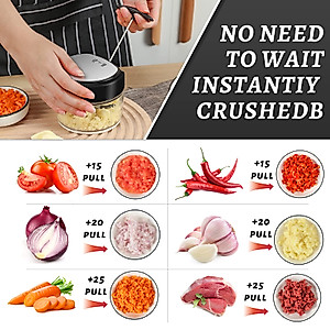 ZHANG XIAO QUAN SINCE 1628 Manual Vegetable Chopper, Hand Pull String Vegetable Garlic Mincer Onion Cutter for Veggie, Ginger, Fruits, Nuts, Herbs 1 Cup(250ml) Mini Food Chopper