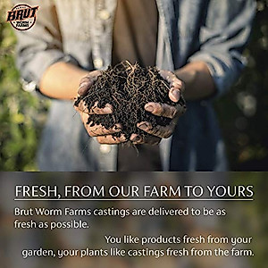 BRUT WORM FARMS Worm Castings Soil Builder - 12 Pounds - Organic Fertilizer - Natural Enricher for Healthy Houseplants, Flowers, and Vegetables - Use Indoors or Outdoors - Non-Toxic and Odor Free