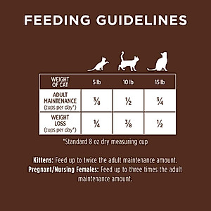 Instinct Original Grain Free Recipe with Real Salmon Natural Dry Cat Food, 4.5 lb. Bag