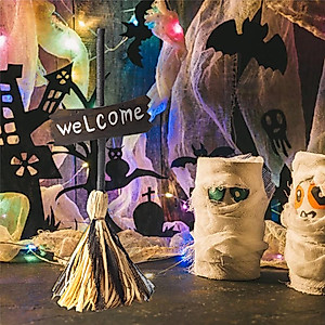 SKINFORD Halloween Witch Broom Fairy Voice Control Interactive Witch Broom with Walking Funny Electric Witch Broomstick for Halloween Decorations Supplies, Black, F5TEND91800445BRD0