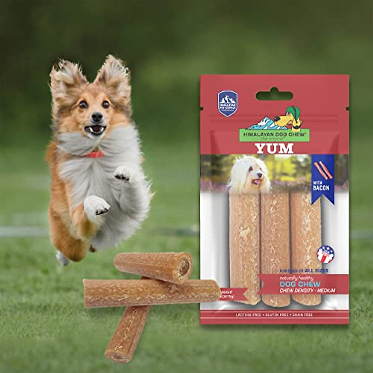 Himalayan Dog Chew Yak Cheese Dog Chews, 100% Natural, Long Lasting, Gluten Free, Healthy & Safe Dog Treats, Lactose & Grain Free, Protein Rich, For All Breeds, Medium, Bacon Flavor, 4.5 oz