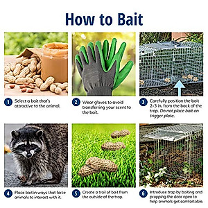 Havahart 1045SR Large 2-Door Humane Catch and Release Live Animal Trap for Armadillos, Beavers, Bobcats, Small Dogs, Cats, Foxes, Groundhogs, Nutria, Opossums, Raccoons, and Similar-Sized Animals