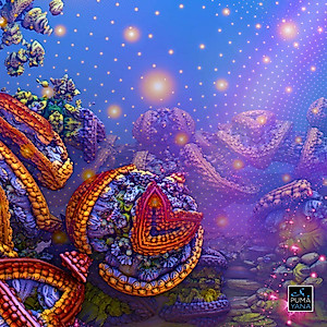 Psychedelic Tapestry | Trippy Wall Hanging | Visionary | Trippy Art | DMT | The Gates of Atlantis (Small)