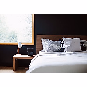 Bluesound Pulse M Omni-Hybrid Wireless Music Streaming Speaker with Bluetooth - Black - Compatible with Alexa and Siri