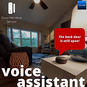 YoLink Door Sensor, 1/4 Mile World's Longest Range Smart Home Wireless Window Door Sensor Works With Alexa IFTTT, Smart Sensor with Remote Monitor App Notifications Open Reminder - YoLink Hub Required