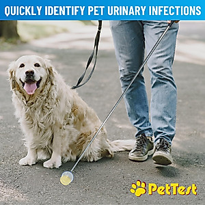 PetTest i-Catch Telescoping Dog Urine Catcher - 45-inch Extendable Dog Pee Stick Collector and Telescopic Pole Handle for Small and Large Breeds - Includes a Reusable Cup with Milliliter Markings