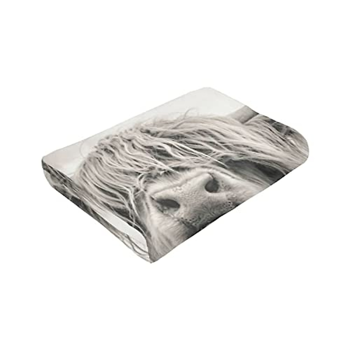 Billichase Highland Cow Blanket Portrait of Cow Pattern Flannel Fleece Throw Blanket Scotland Scottish Horns Bull Cattle Blankets for All Seasons for Couch Bed Sofa 50 X 40 Inches