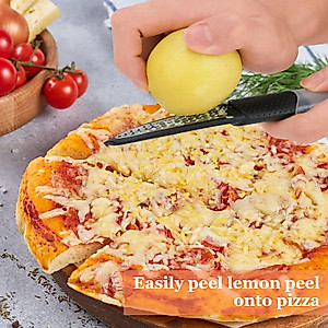 Lemon Zester Tool, Heavy Duty Cheese Vegetable Citrus Zester Grater with Handle for Lemon, Garlic, Nutmeg, Chocolate, Fruits, Vegetables - Stainless Steel Zester Grater & Cheese Shredder