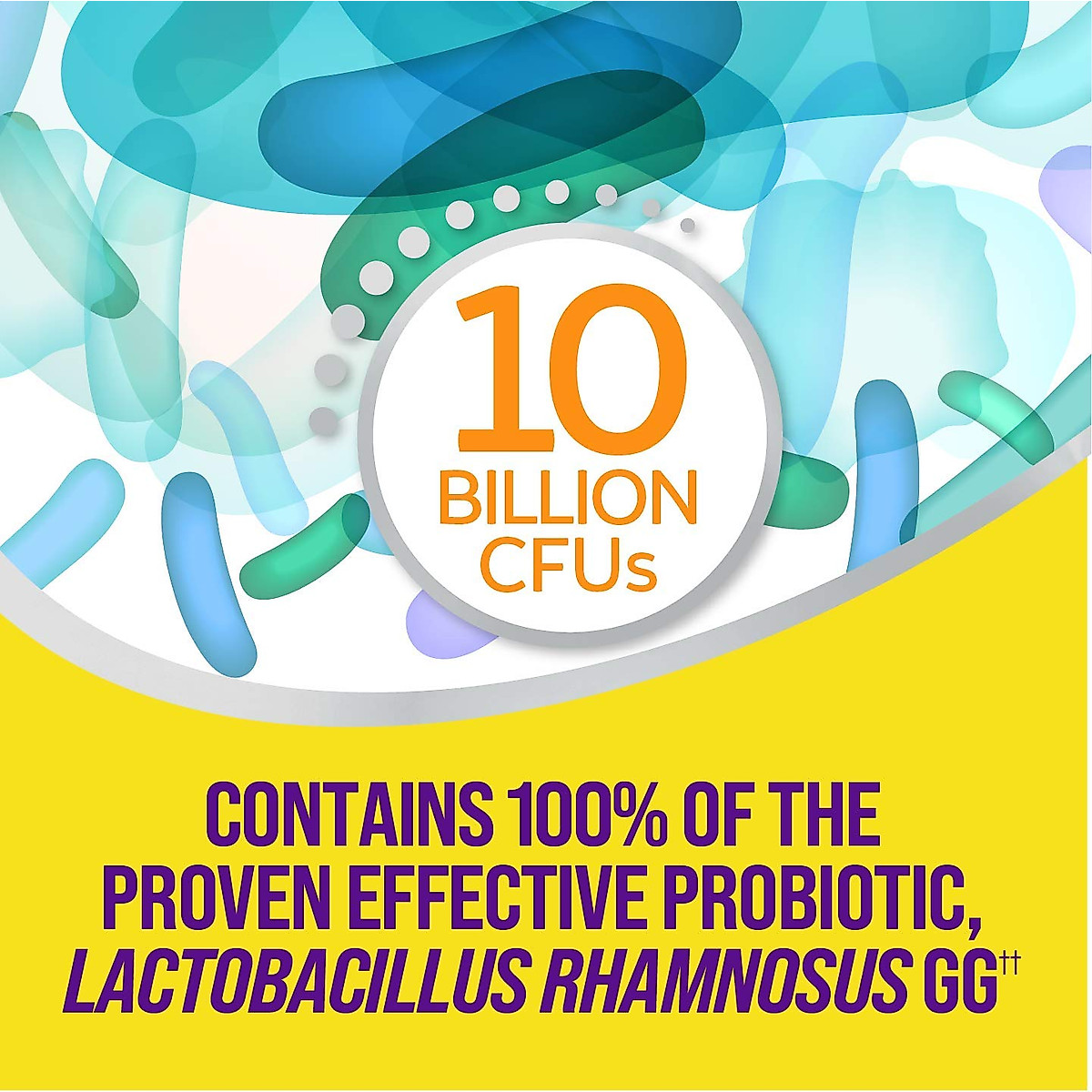 Culturelle Digestive Health Daily Probiotic Chewables, Probiotic For Men and Women, Most Clinically Studied Probiotic Strain, 10 Billion CFUs, Supports Occasional Diarrhea, Gas & Bloating, 24 Count