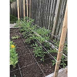 IRRIGATION-MART 6300FT Tomato Tying Garden Twine