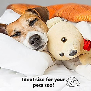 2-Pack Soft Organic Cotton Pillows for Sleeping - 13X18 Small Toddler Kids Pillow for Travel, School, Nap, Age 2 to 5 (Soft White)