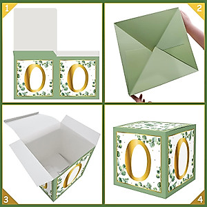 Levfla Wild One Birthday Decorations Balloon Boxes Sage Green Jungle Theme First Birthday Baby Shower Decoration 1st Birthday Party Supplies for Boy Girls