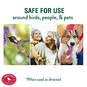 Perky-Pet 245L Ant Guard for Hummingbird Feeders