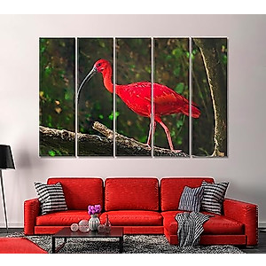 Exotic Bird Scarlet Ibis Canvas Print 1 Panel / 36x24 inches