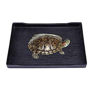Ipetboom Reptile Water Dish 1Pc Reptile Food Bowl, Tortoise Habitat Accessories Pets Feeding Plate Reptile Feeding Bowl Pet Breeding Tray for Reptile and Amphibian, 24.5x18x2cm Turtle Water Bowl