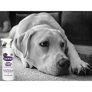 FOLEX Cemko Cleaning Cloth Instant Carpet Spot Remover | Instant Carpet Spot Remover Kit, 32oz