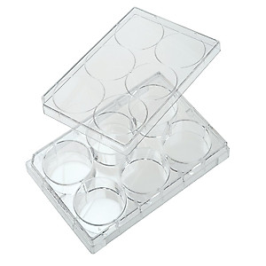 Celltreat 229106 6 Well Tissue Culture Plate with Lid, Sterile, 9.60cm2 Cell Growth Area, Individual Pack (Case of 100)